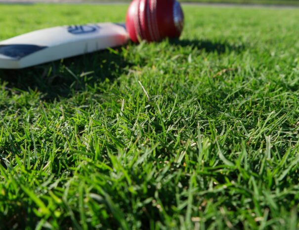 The Zero Seven Cricket Turf – Play Turf in Athani